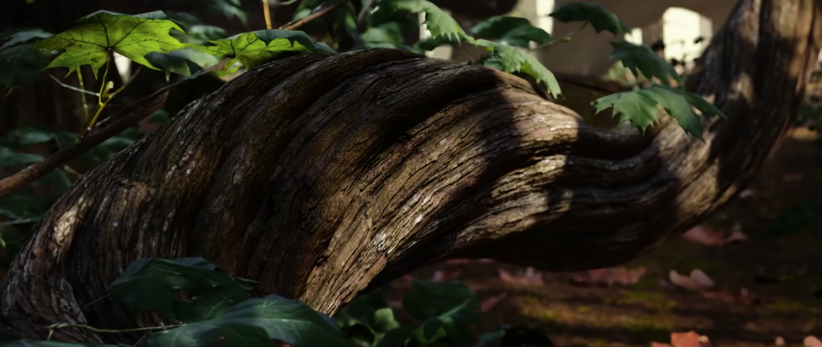 Linhao Jin | Homepage